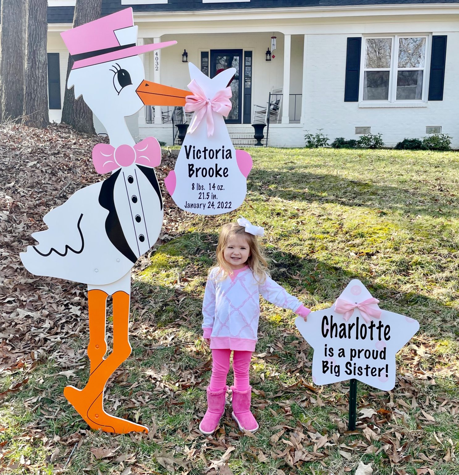 Stork Birth Announcements - Magnolia Storks and More