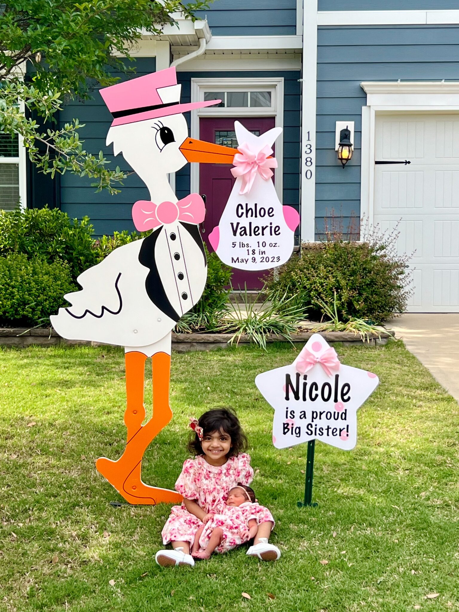 Stork Signs - Magnolia Storks and More